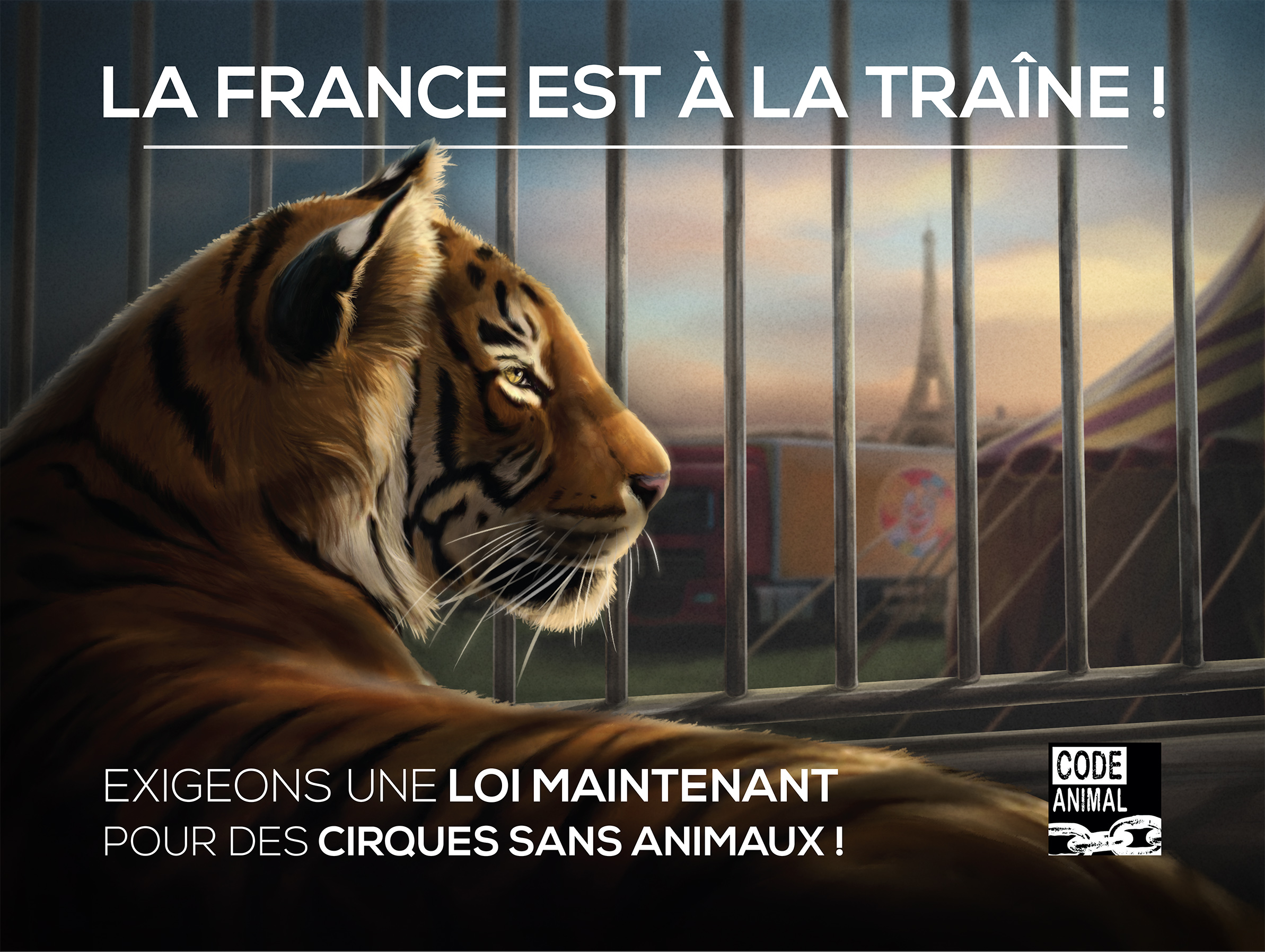 Le débat public se porte enfin sur la cause animale - Code animal