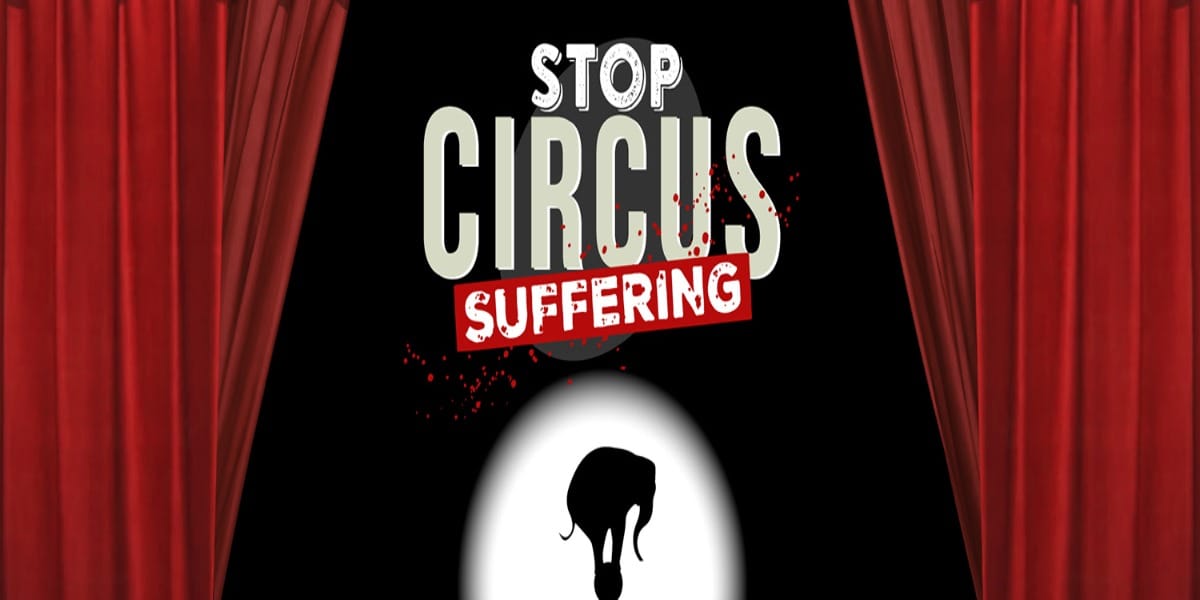 STOP CIRCUS SUFFERING - Code animal