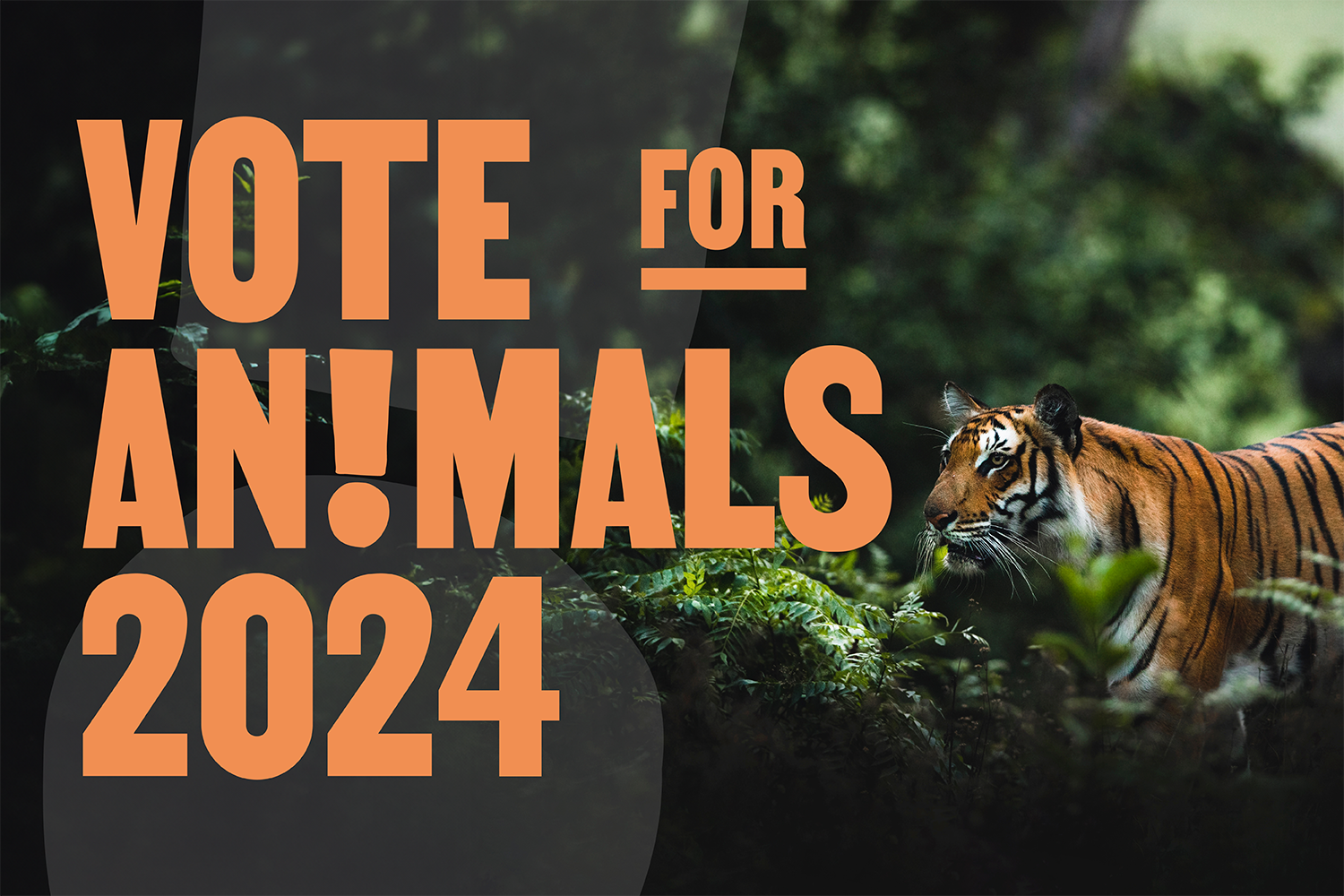Suivez Le Lancement De La Campagne Européenne Pour Les Animaux Code